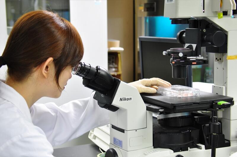 Cell Line Development - eirgenix